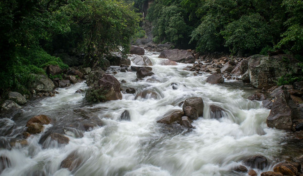About Us | Meemure Nature Camp